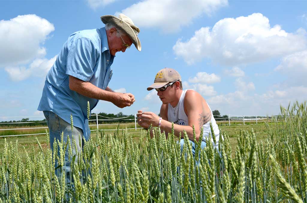 Agriculture Programs and Degrees - Wilmington College (Wilmington, Ohio)